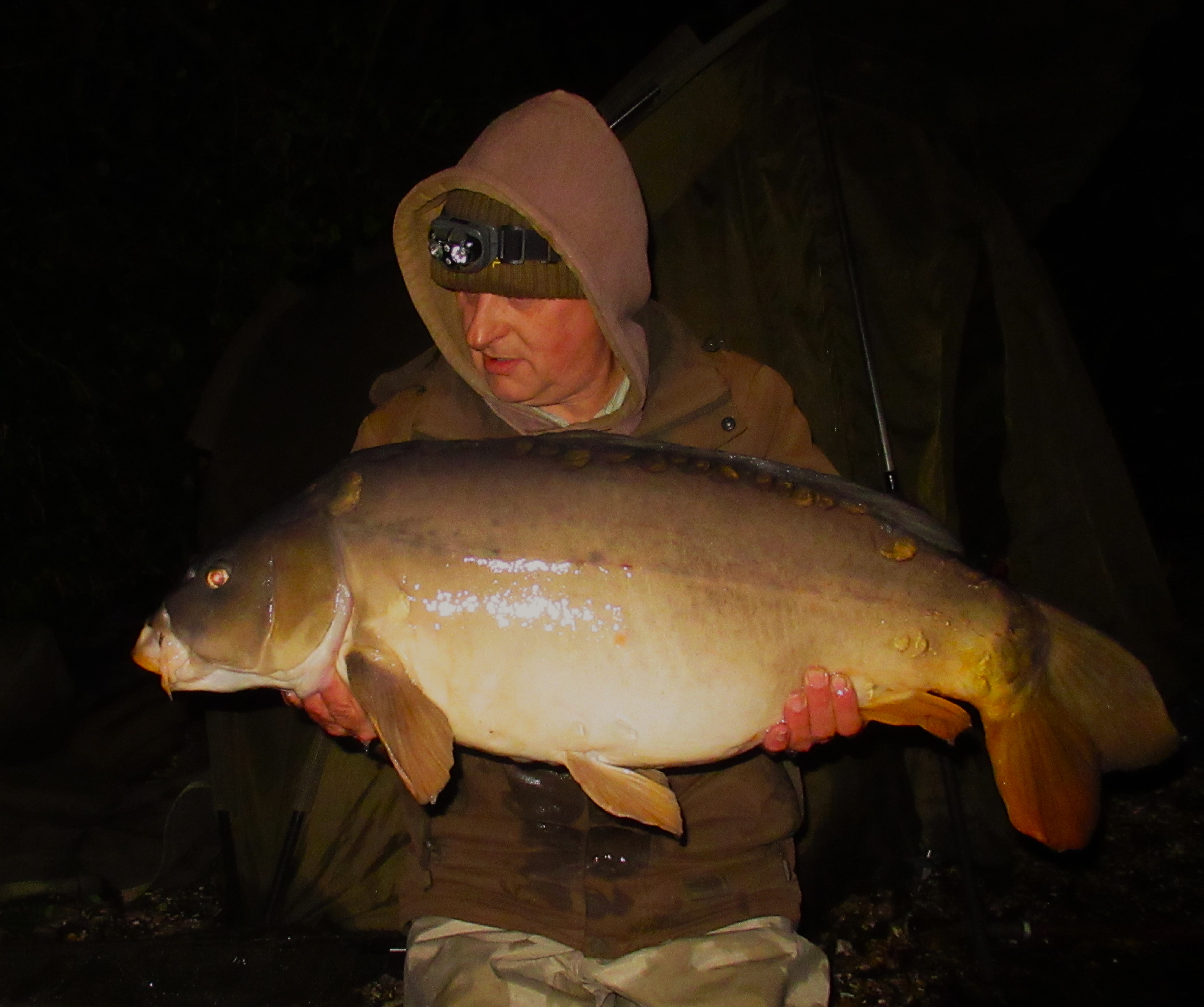 2am Mirror | Total Carp